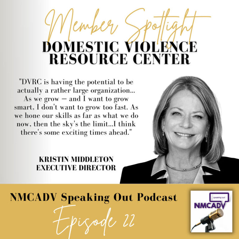 Media - Domestic Violence Resource Center